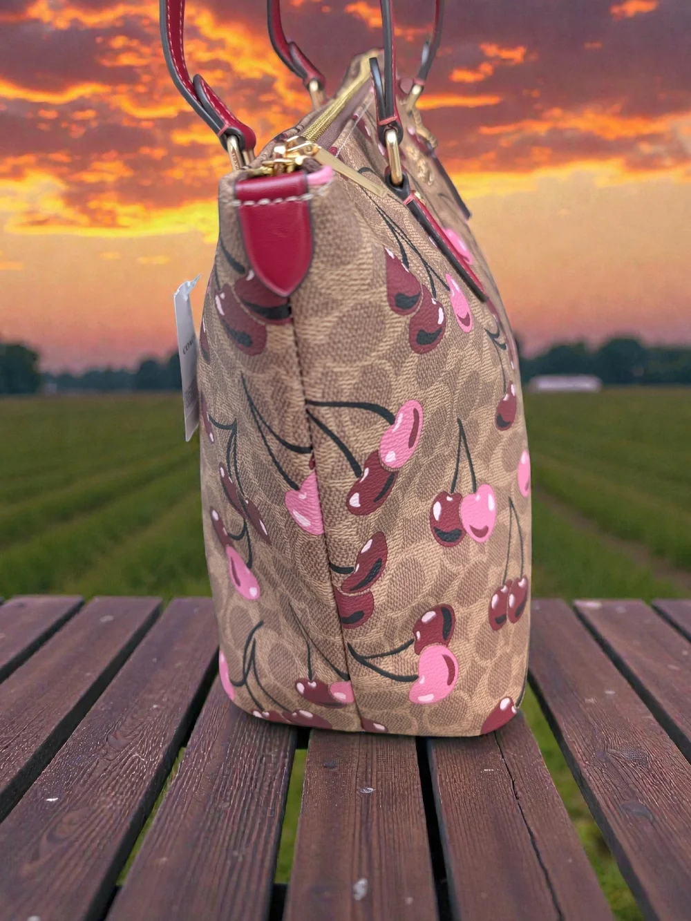 Coach | Bags | Coach Gallery Tote In Signature Canvas With Cherry Print ...